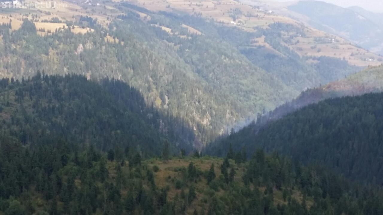 INCENDIU de padure la Maguri Racatau. Au ars 6 hectare - VIDEO cu ...