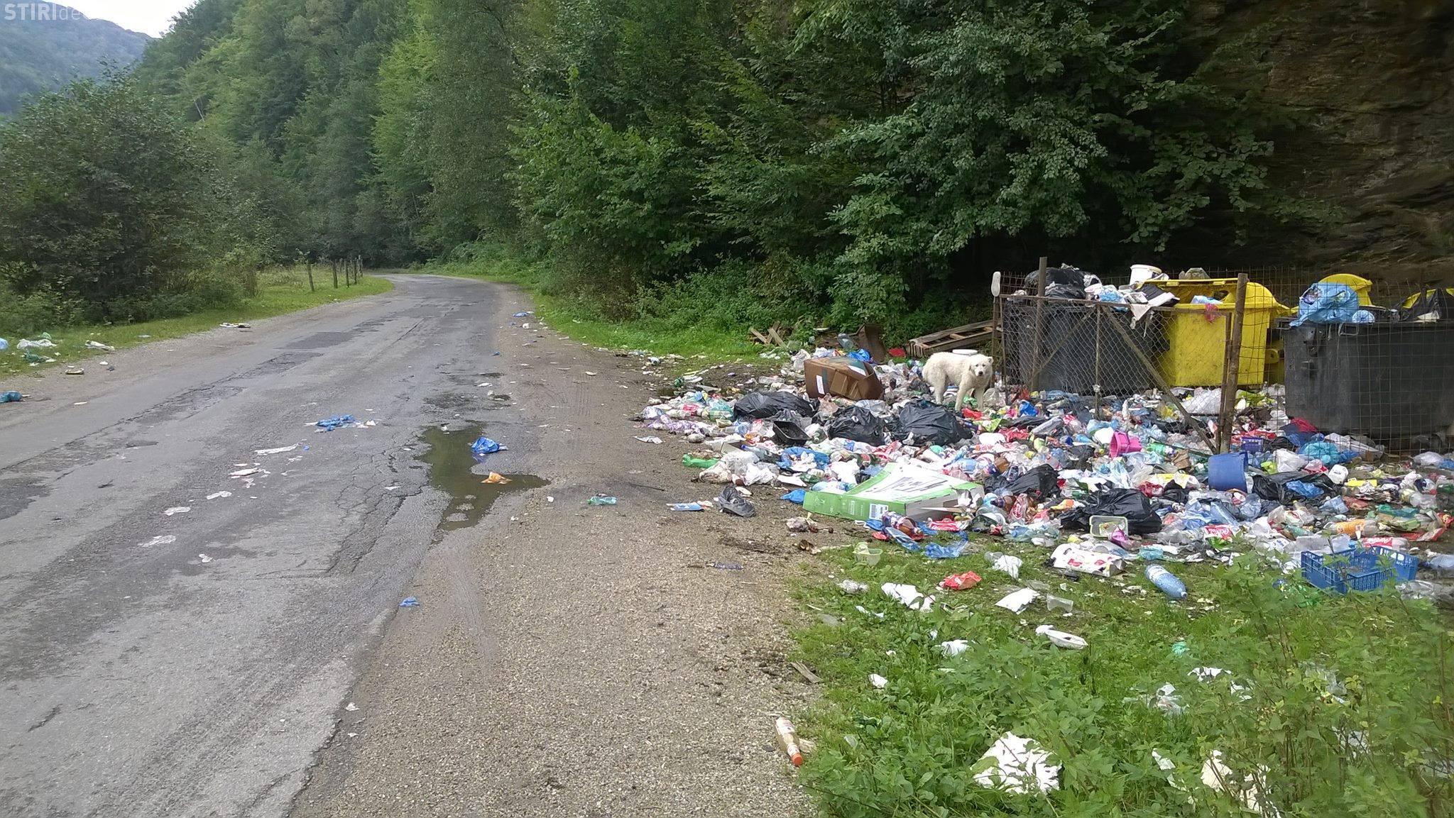 Județul Cluj e sub gunoaie! Deșeuri în zona de munte. Între timp ...