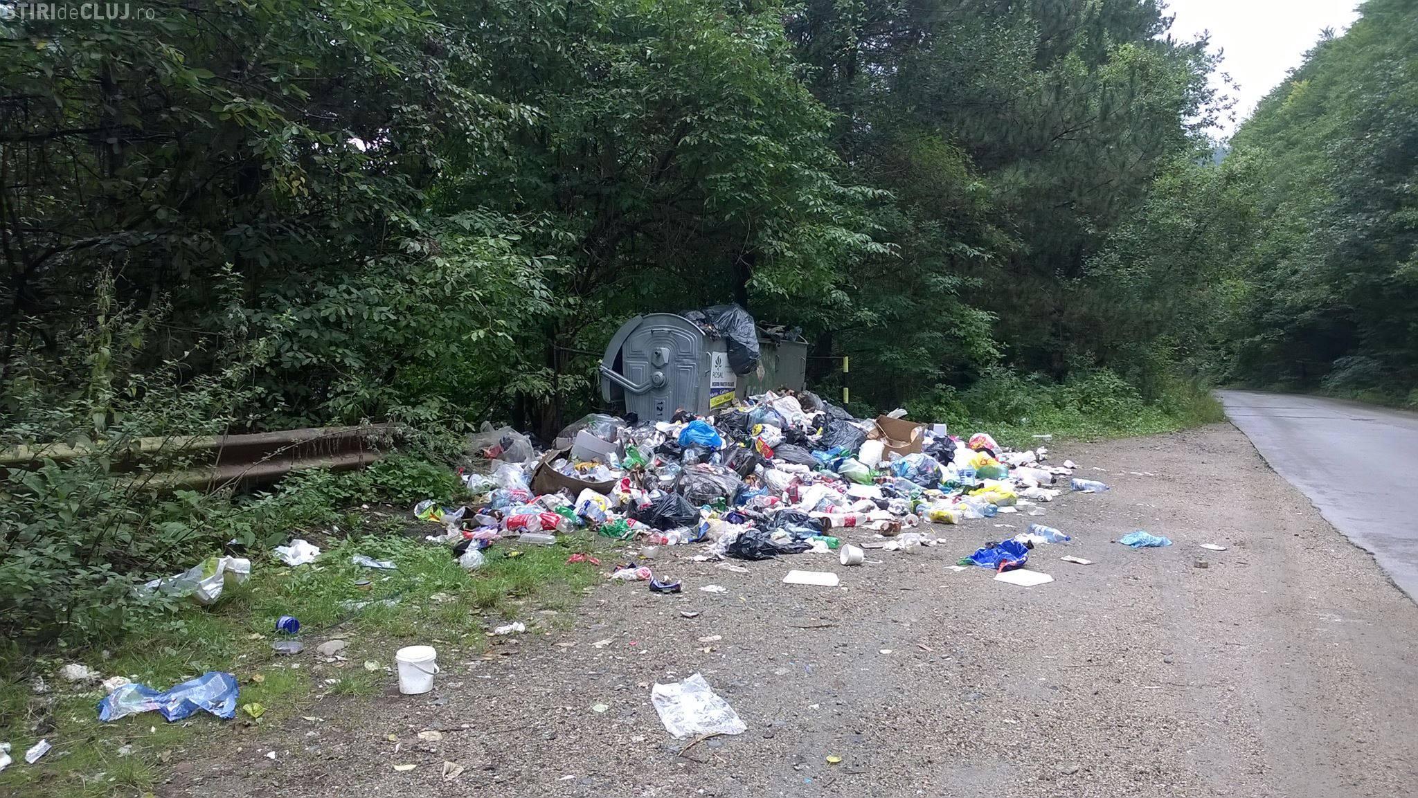Județul Cluj e sub gunoaie! Deșeuri în zona de munte. Între timp ...