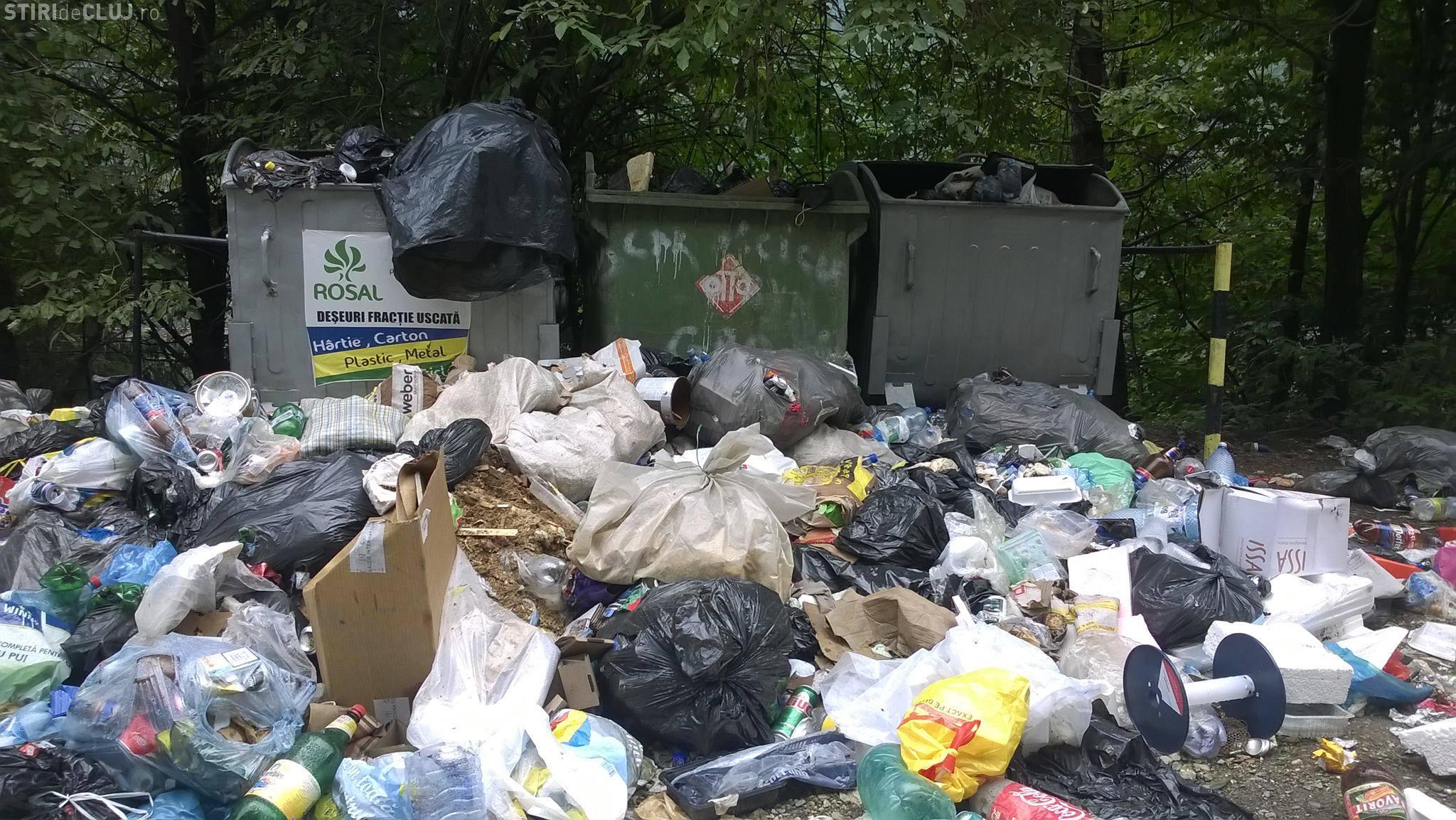 Județul Cluj e sub gunoaie! Deșeuri în zona de munte. Între timp ...