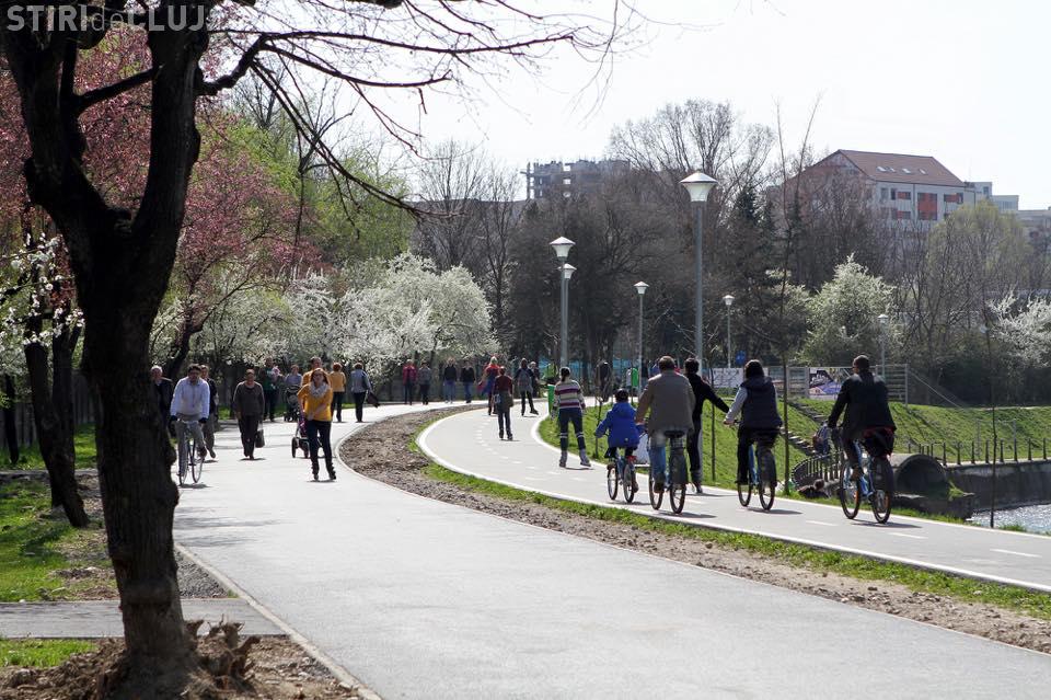 Aleea pietonală de pe malul Someșului, dintre Parcul Babes si Parcul ...