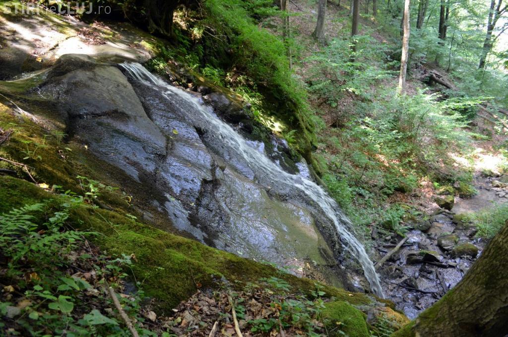 Cascada Valea Sasului, e la doi pași de Cluj-Napoca - FOTO - Ştiri de Cluj