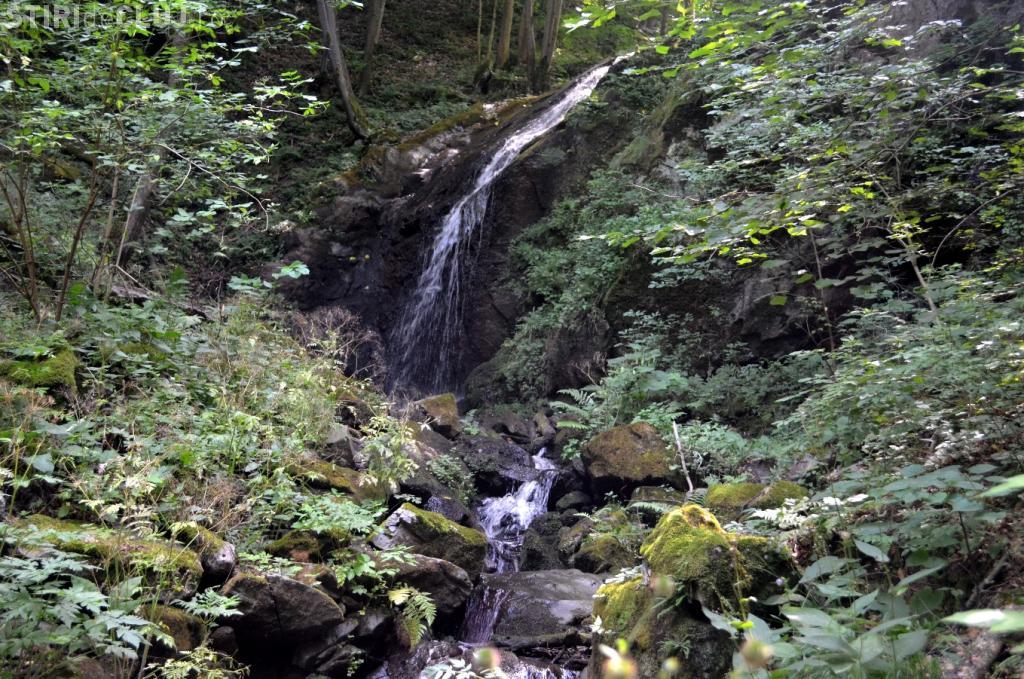 Cascada Valea Sasului, e la doi pași de Cluj-Napoca - FOTO - Ştiri de Cluj