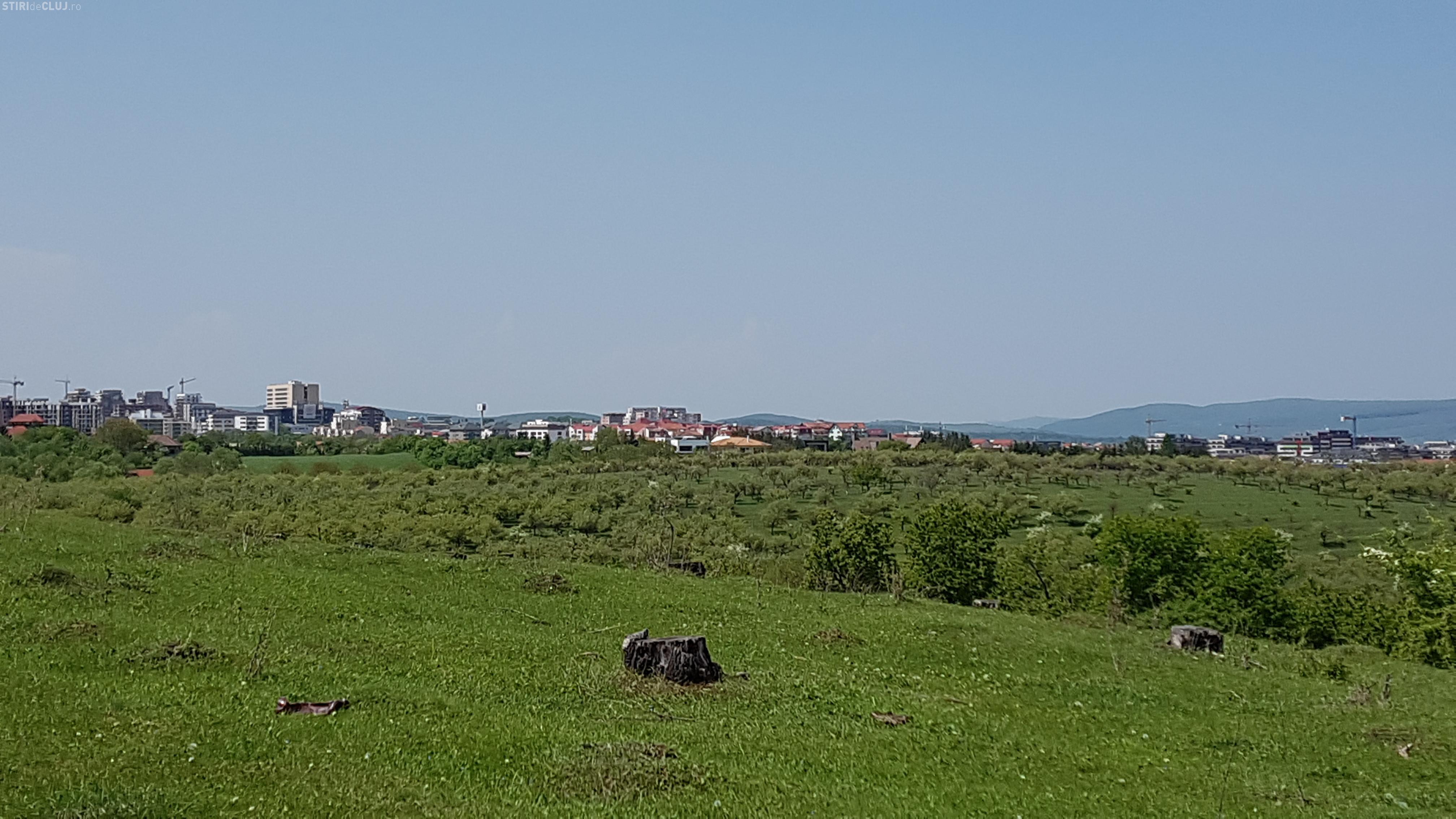 Traficul pe Calea Turzii va fi de coșmar. 6 turnuri apar în zonă - FOTO ...