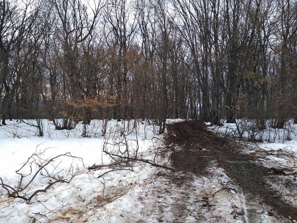 Drum forestier ilegal prin Poiana Rotundă, din Pădurea Hoia, loc ...
