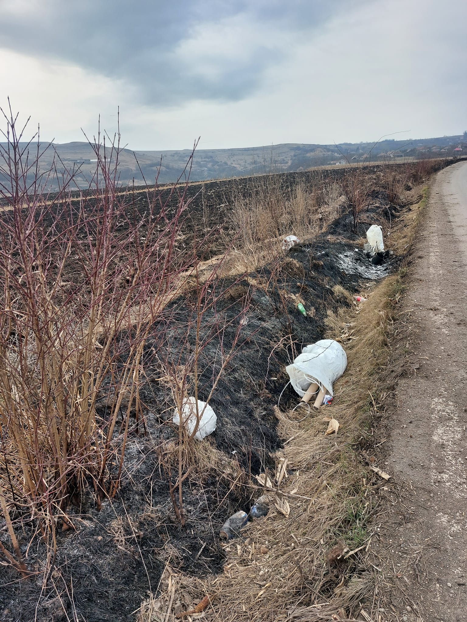Drumul din Boju, comuna Cojocna, groapă de gunoi pentru firmele din ...