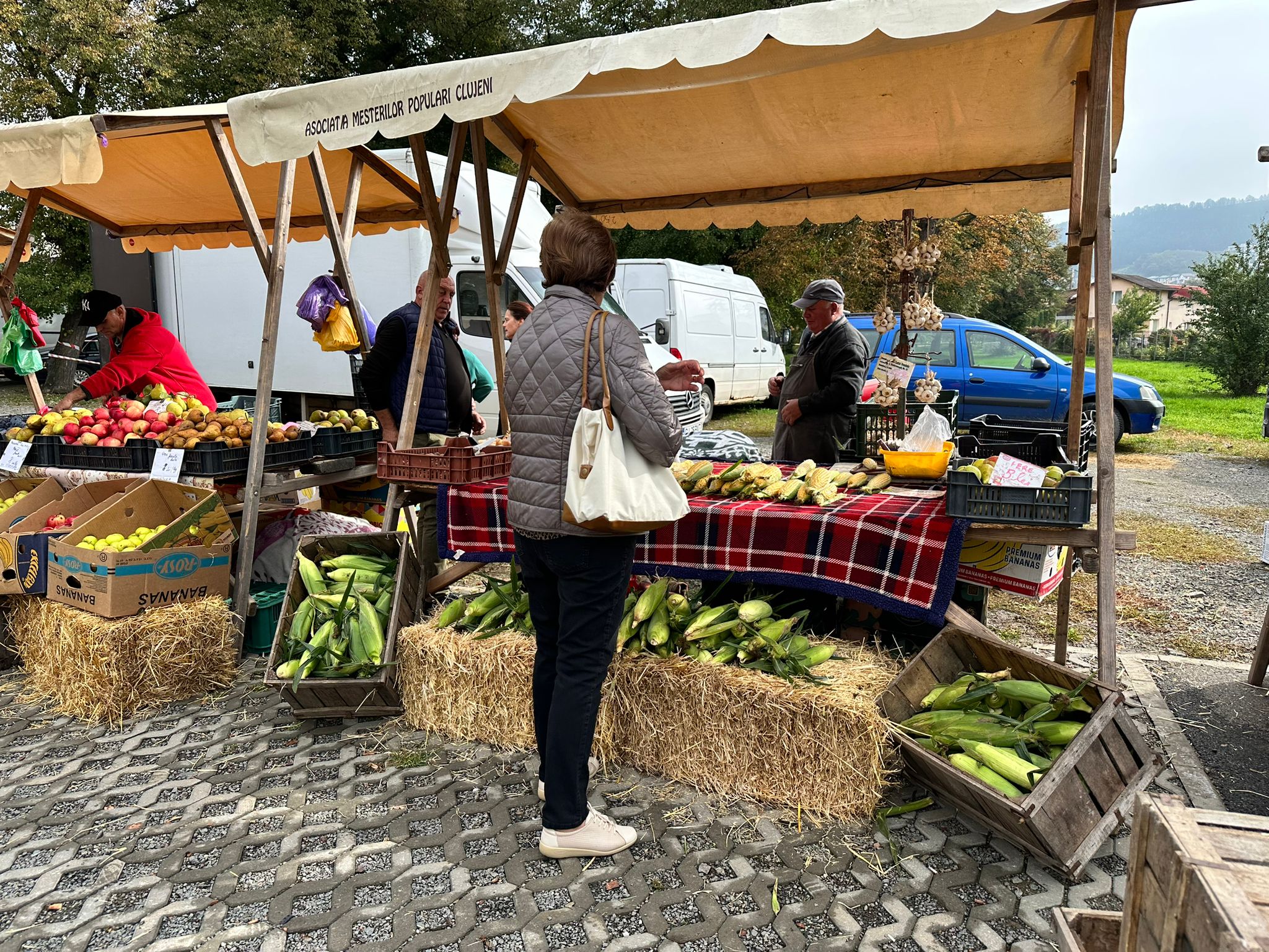 Floresti Fest 2022, un festival la nivel european! Au participat peste ...