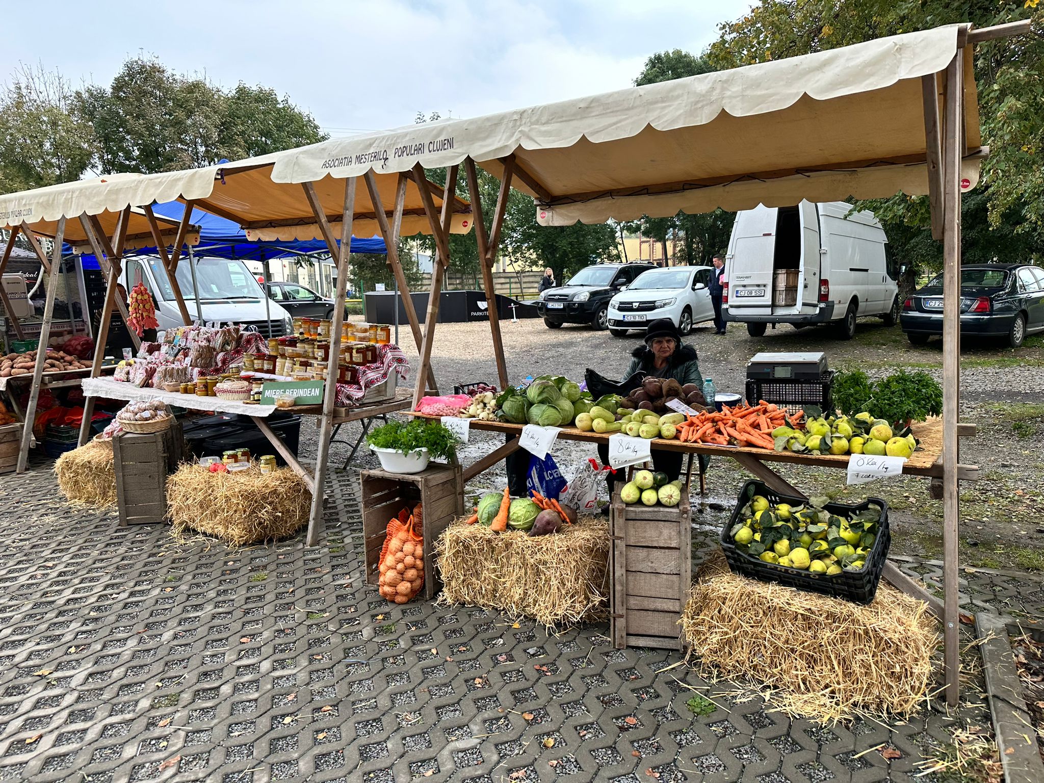 Floresti Fest 2022, un festival la nivel european! Au participat peste ...