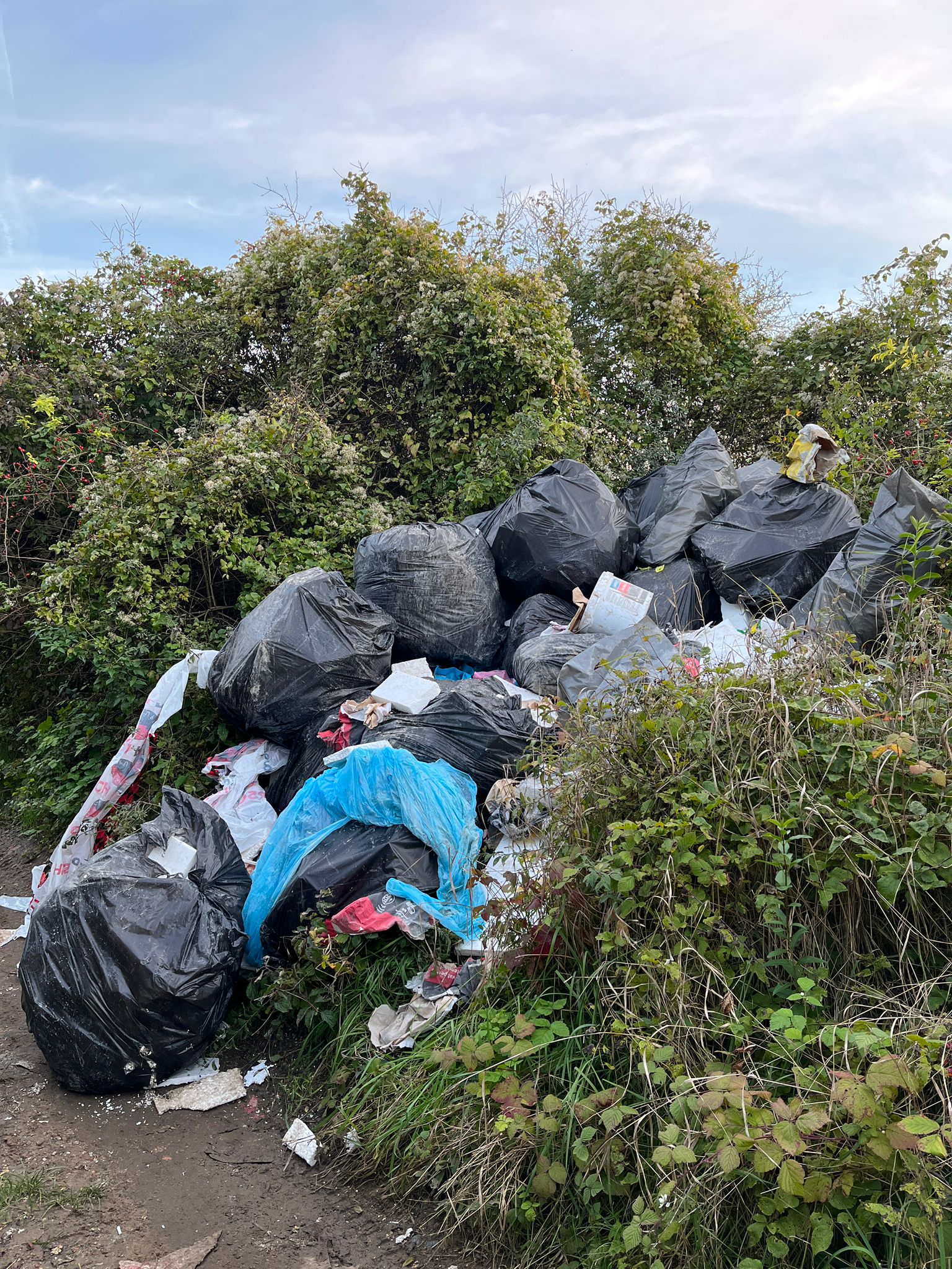 Munte de gunoi în cartierul Dâmbu Rotund făcut de ”bipezi” nesimțiti ...