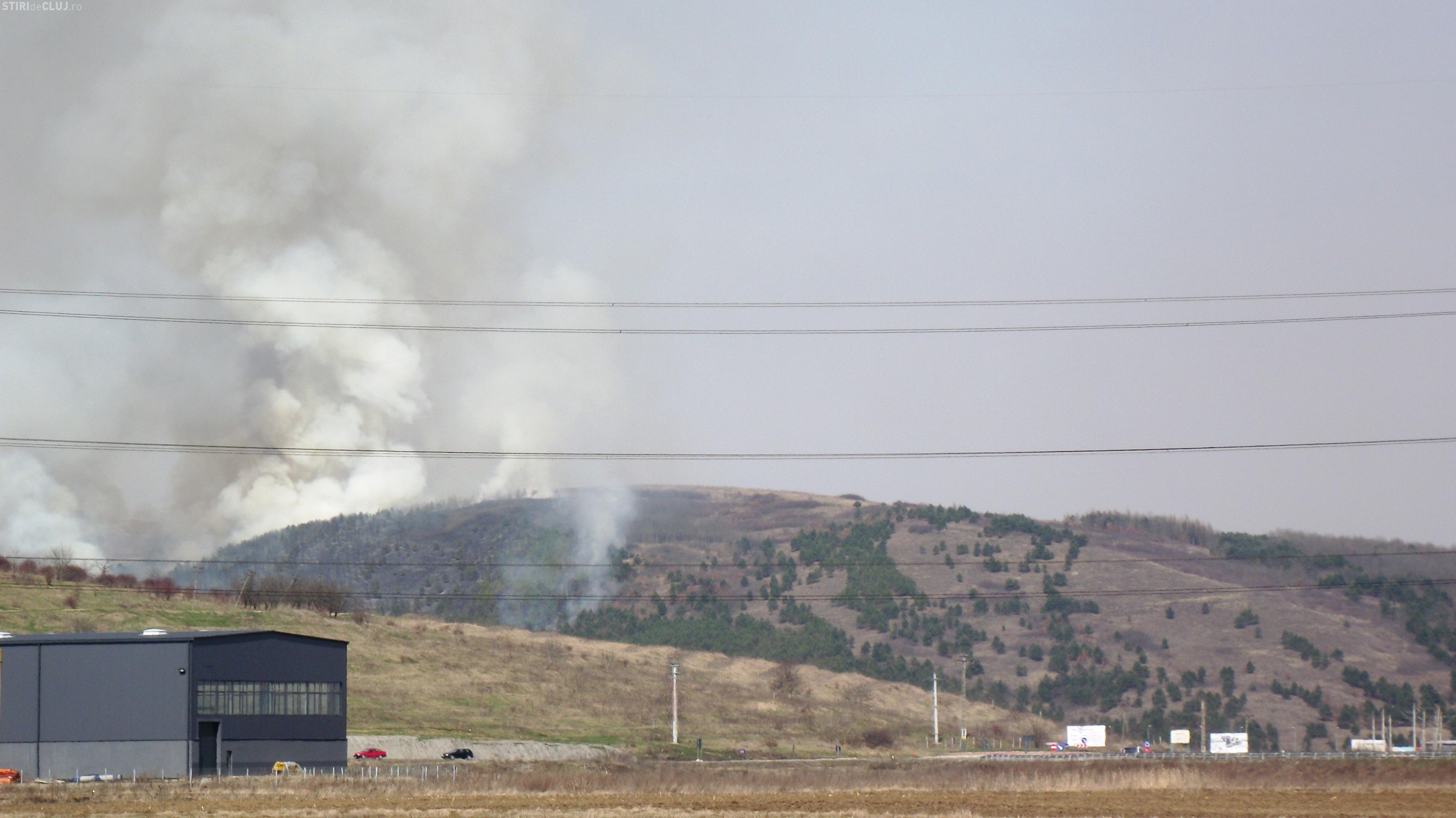 Incendiu de padure la Campenesti! Galerie FOTO - Ştiri de Cluj