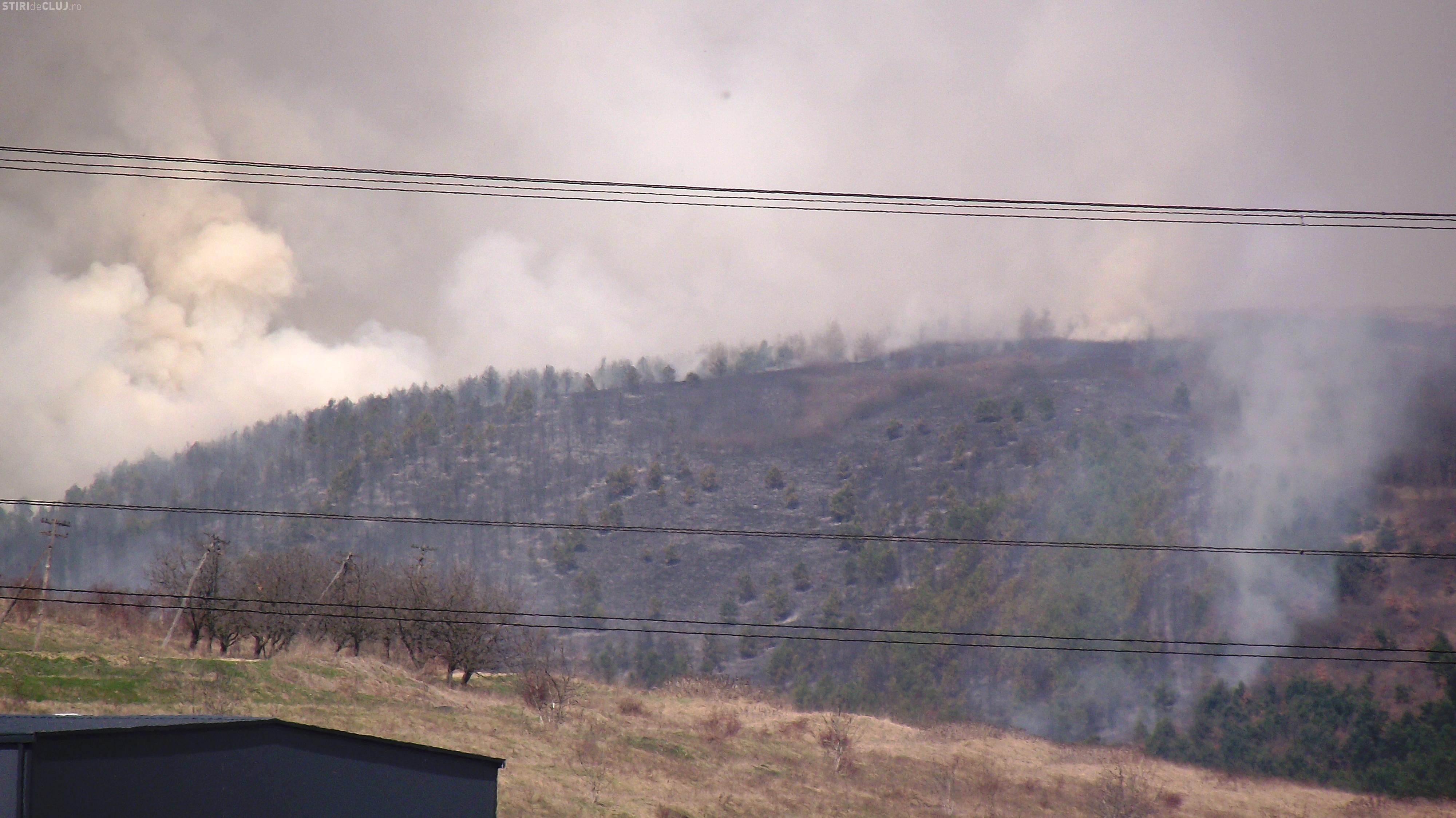 Incendiu de padure la Campenesti! Galerie FOTO - Ştiri de Cluj