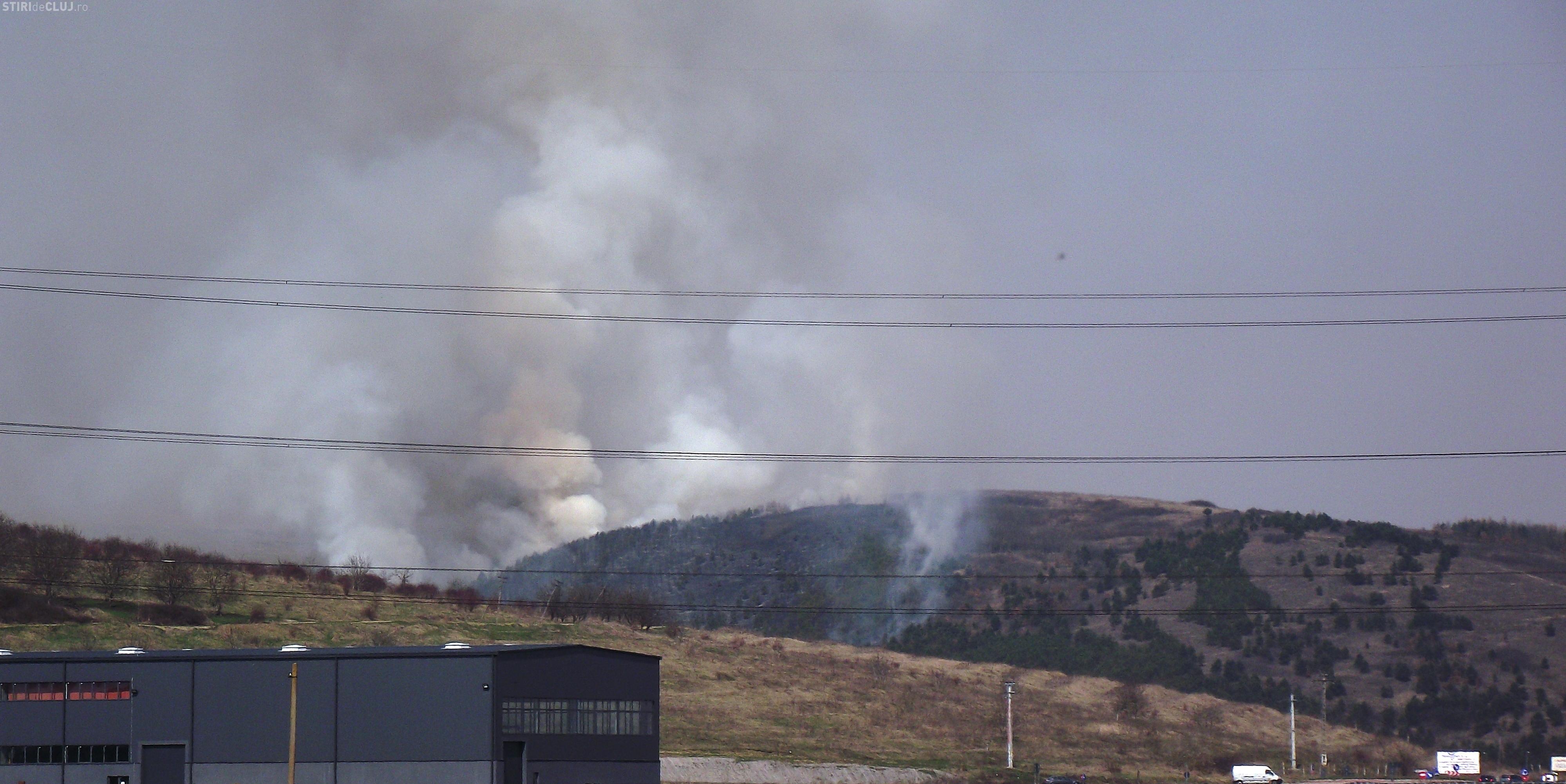 Incendiu de padure la Campenesti! Galerie FOTO - Ştiri de Cluj