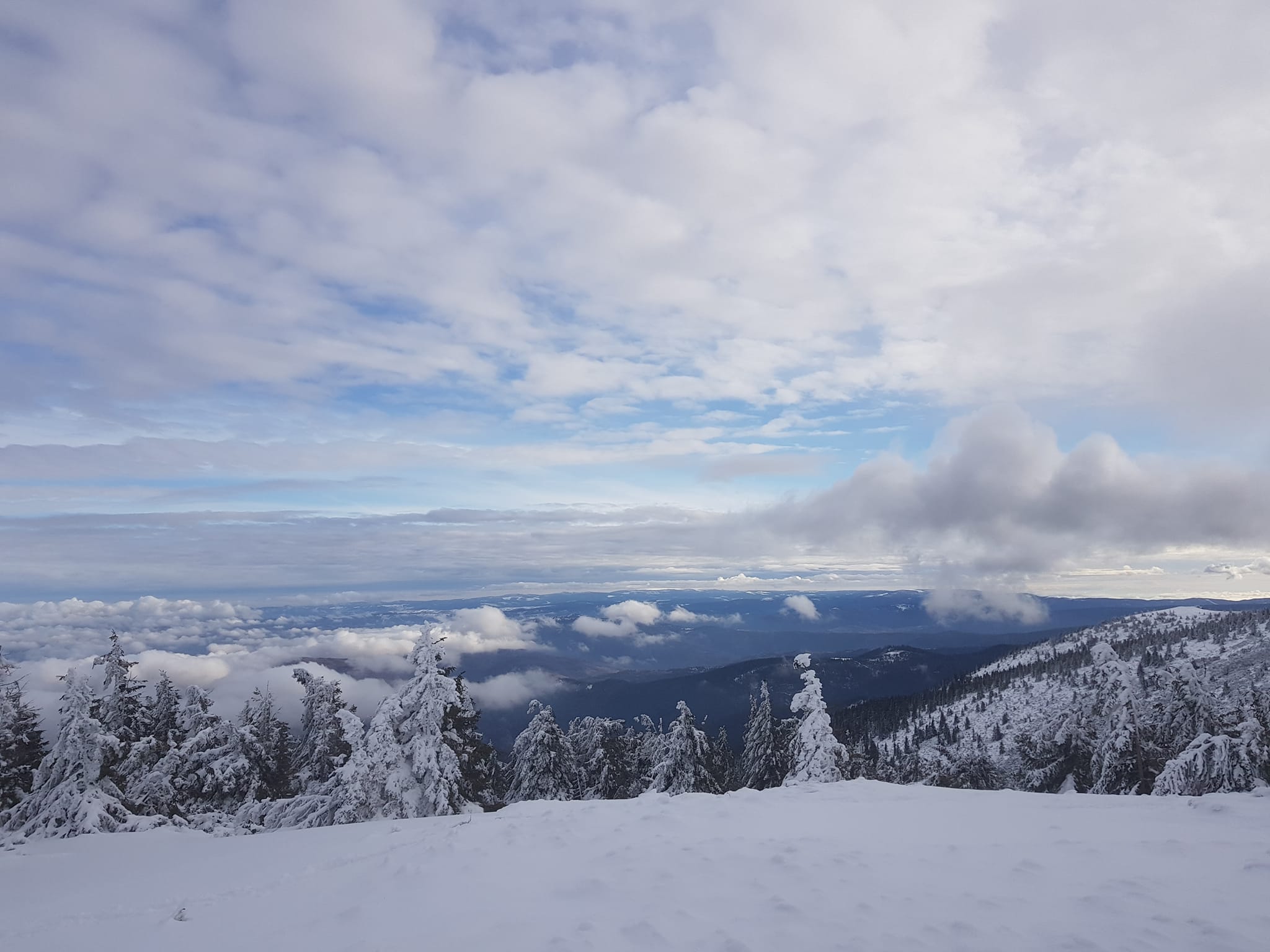 Zăpada s-a așternut pe vârful Vlădeasa, la cota 1400 - FOTO - Ştiri de Cluj