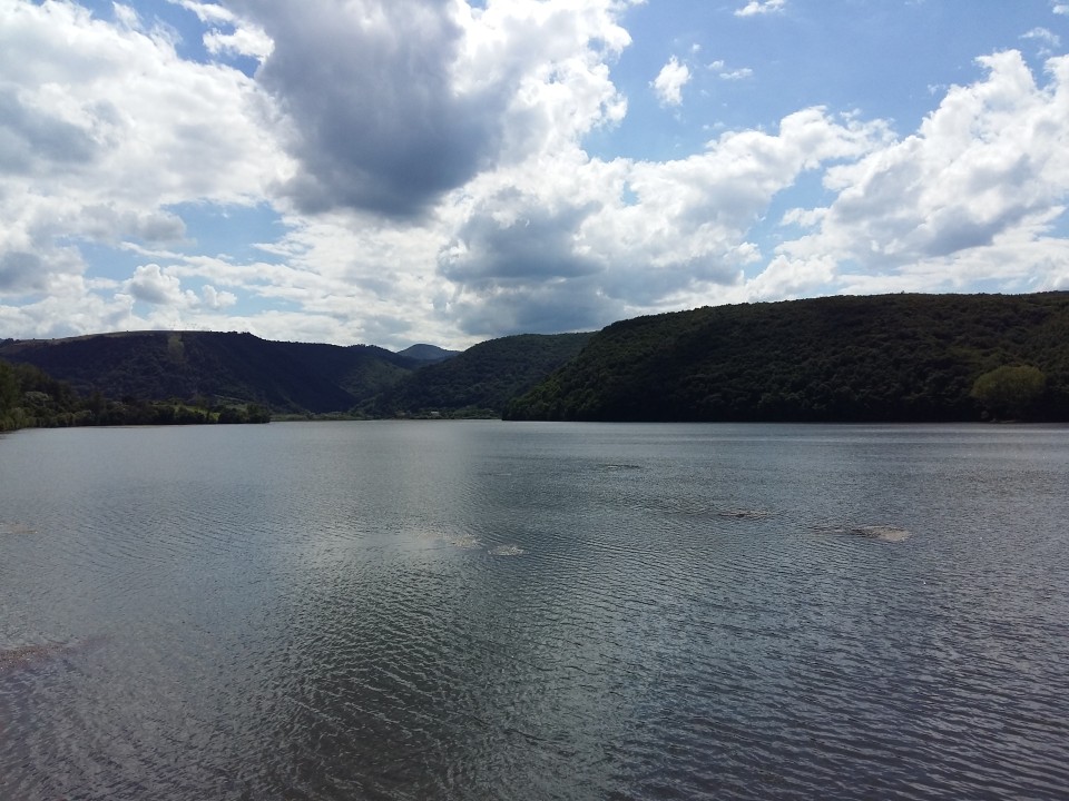 Lebede albe superbe, pe lacul din Gilău. Priveliștea este minunată ...