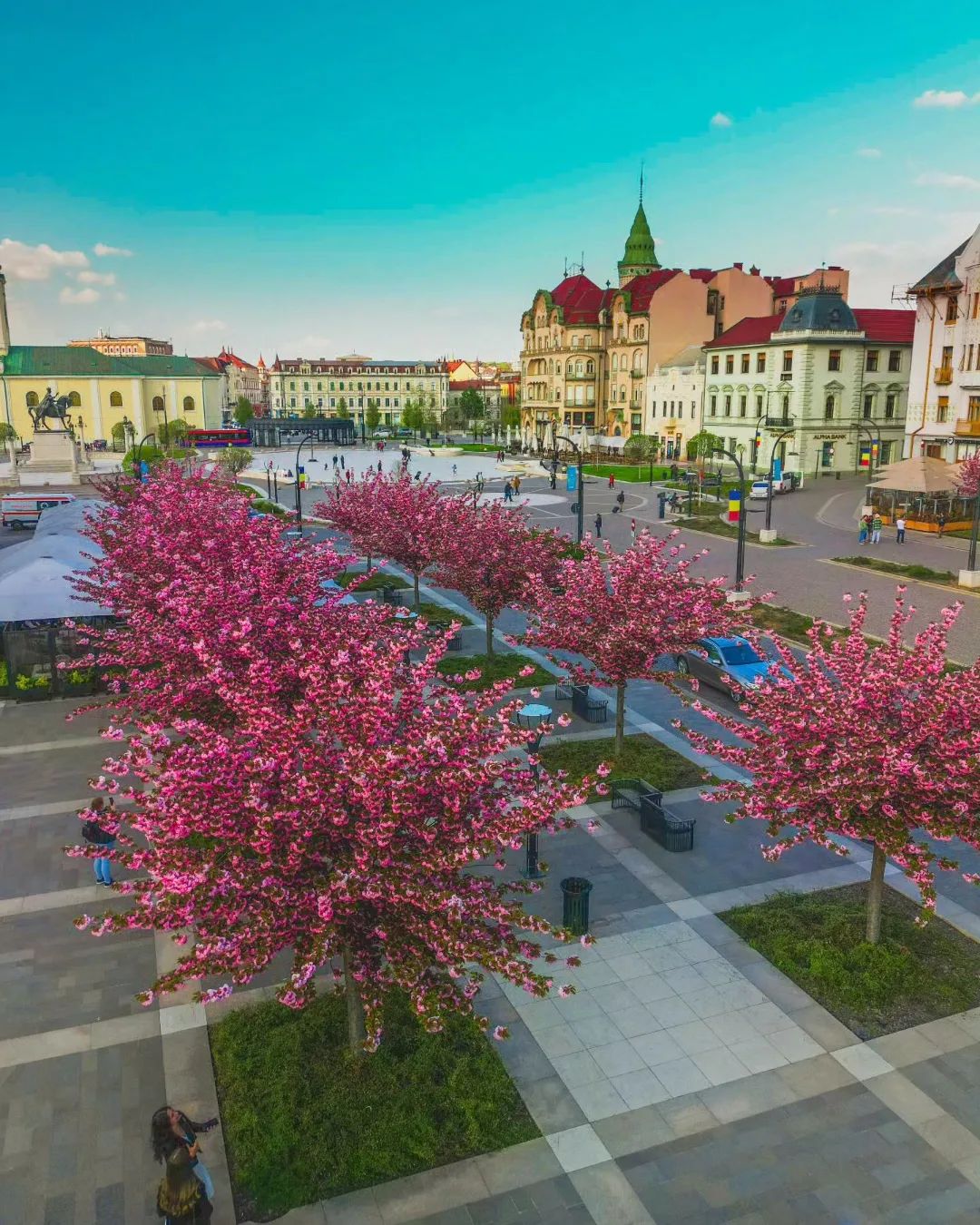 Oradea a înflorit! Imagini sublime din cel mai frumos oraș din Ardeal ...