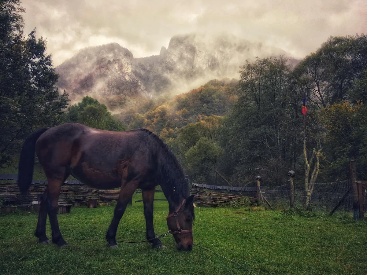 Cheia, cel mai idilic sat din Ardeal! Cât costă să te cazezi în Munții ...