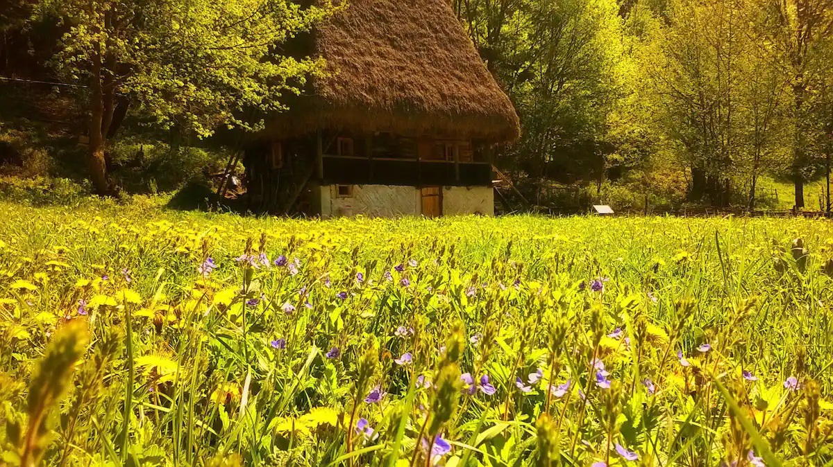 Cheia, cel mai idilic sat din Ardeal! Cât costă să te cazezi în Munții ...