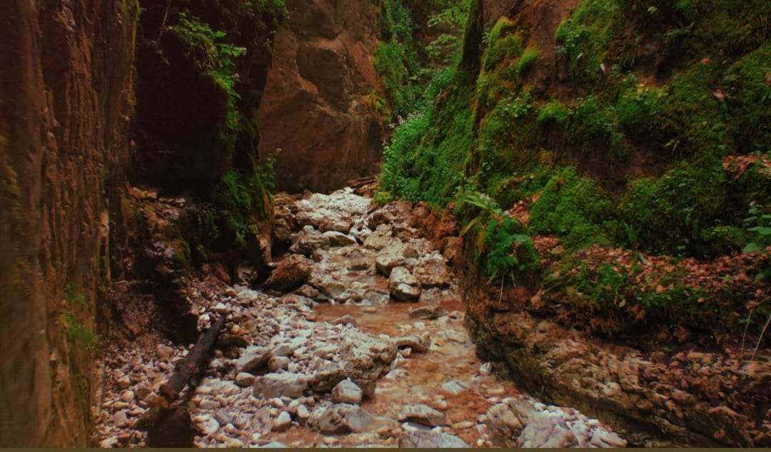 Canionul Sighiștel, paradisul verde al Apusenilor! E o resursă ...