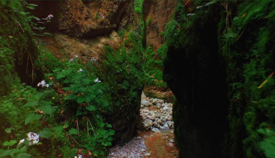 Canionul Sighiștel, paradisul verde al Apusenilor! E o resursă ...