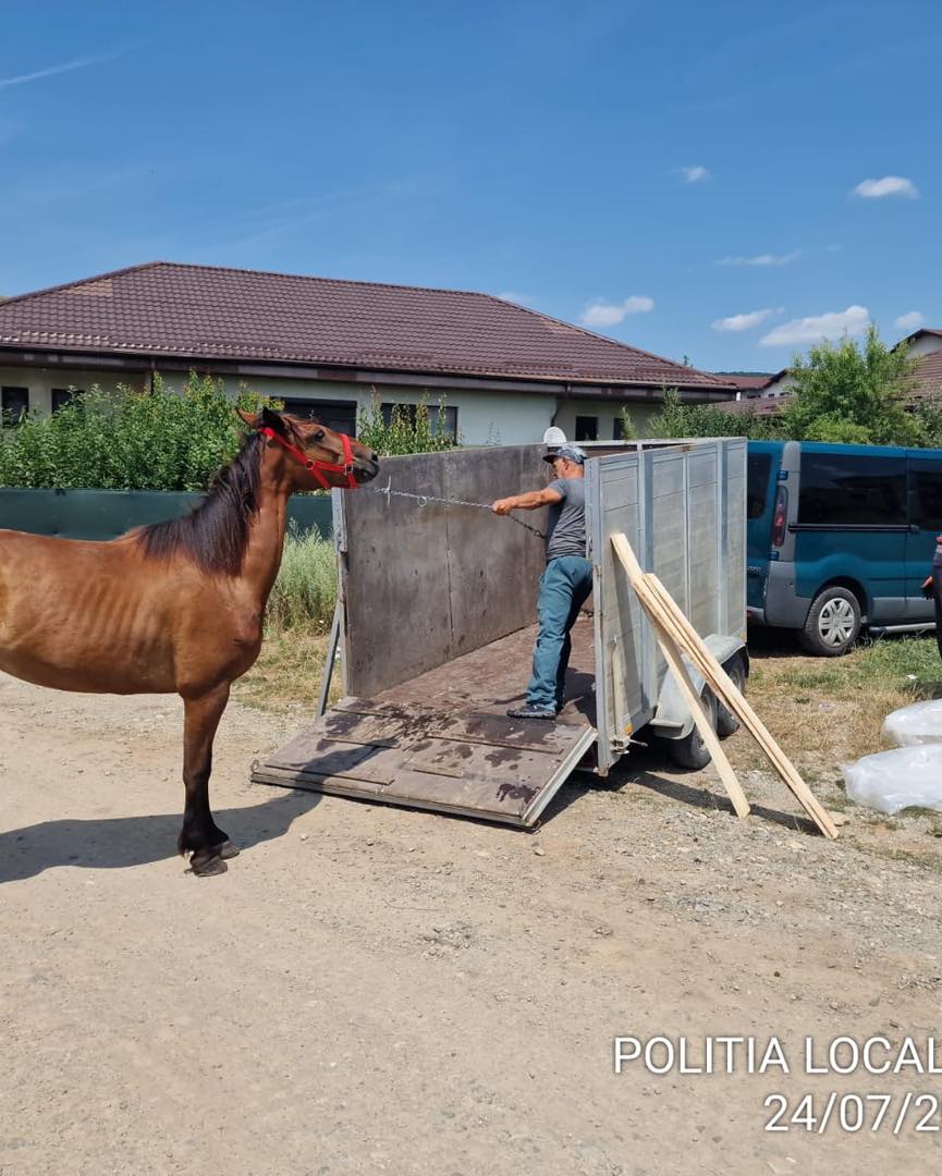 Primar din Cluj, care pune piciorul în prag: ”Vremurile în care pe ...