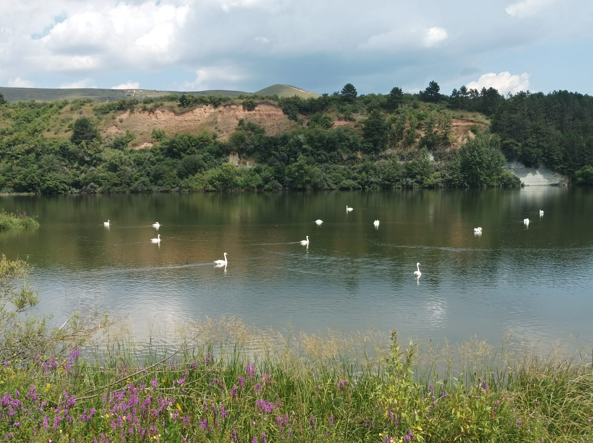 La scăldat în Delta Florești! Un clujean își cere dreptul la îmbăiere ...