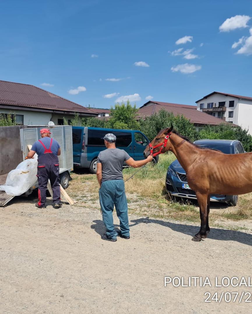 Primar din Cluj, care pune piciorul în prag: ”Vremurile în care pe ...