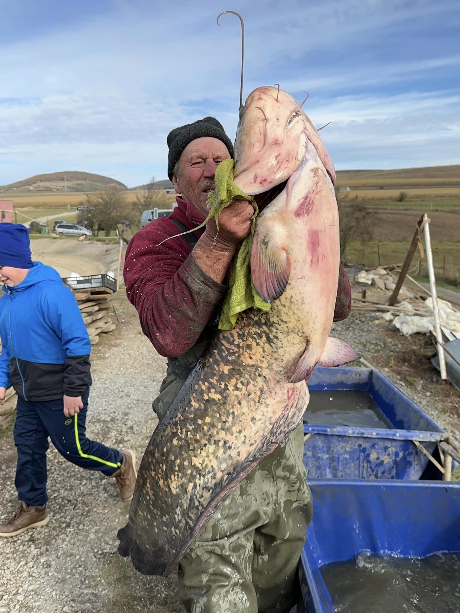Captură impresionantă de somn pe un lac din Cluj - FOTO - Ştiri de Cluj