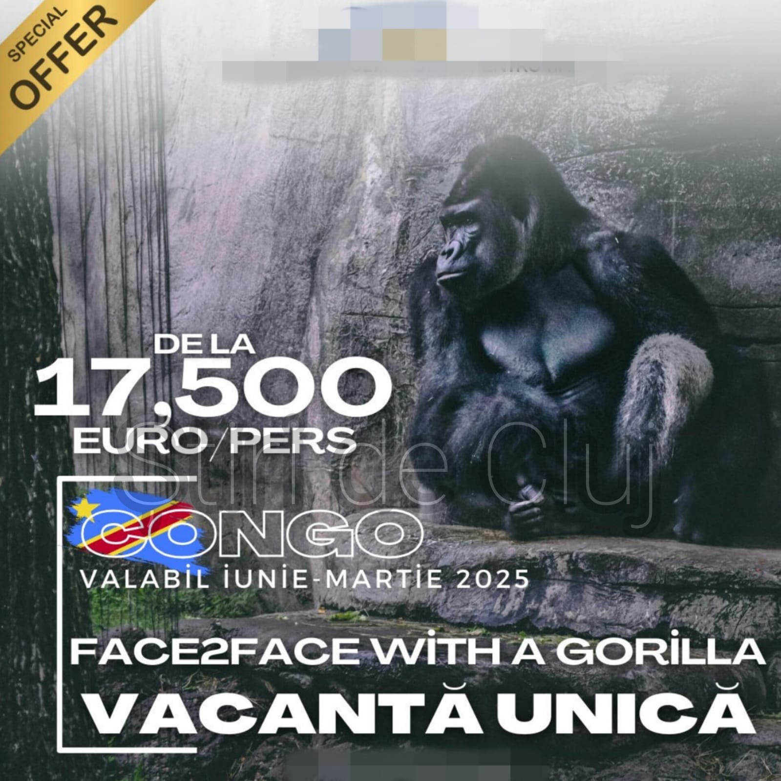 După locuințe, Clujul o ia razna și la vacanțe de „LUX”! Congo, 17.500 euro de persoană: „Vindem ...