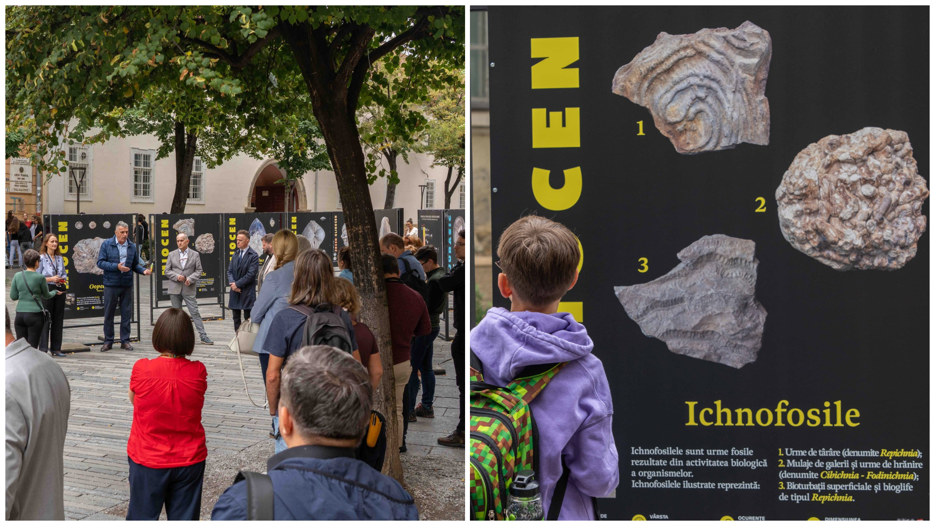 Expoziția „Comori din mările Clujului” s-a deschis oficial! Fosile spectaculoase, povești ...