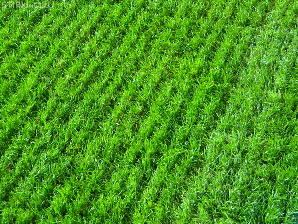 Cum arata gazonul de pe Cluj Arena in urma concertelor Scorpions si ...