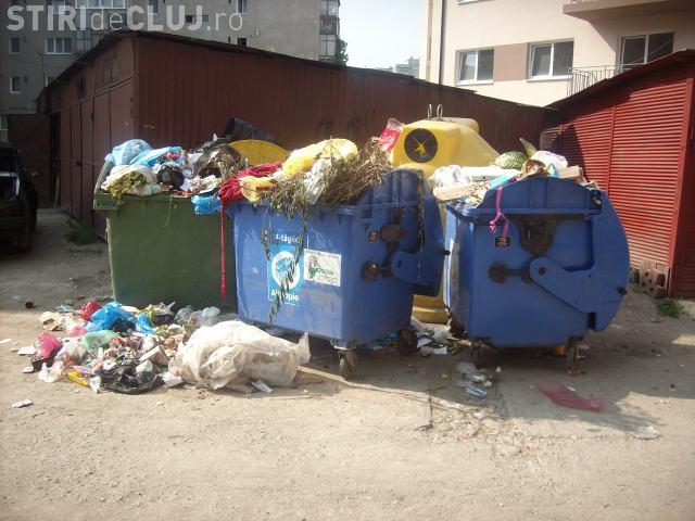 Clujenii se plâng de gunoiul lăsat în drum pe strada Cojocnei FOTO ...