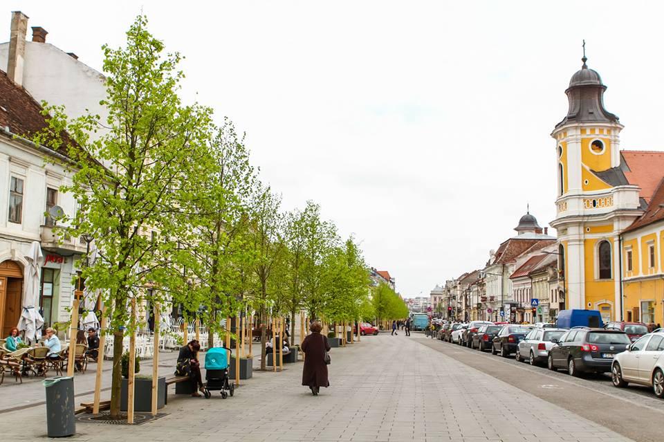 Centrul Clujului e din nou verde. Cum arată acum Bulevardul Eroilor ...