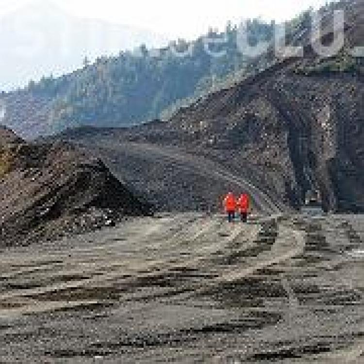 Innebuniti de zgomotul de pe autostrada Transilvania, localnicii din ...