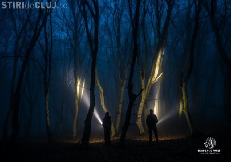 Documentar despre Pădurea Hoia-Baciu și misterele paranormale - TRAILER ...