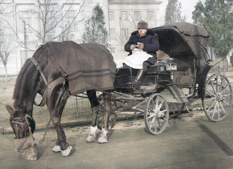 Pauză de masă a unui birjar din Clujul de demult - FOTO - Ştiri de Cluj