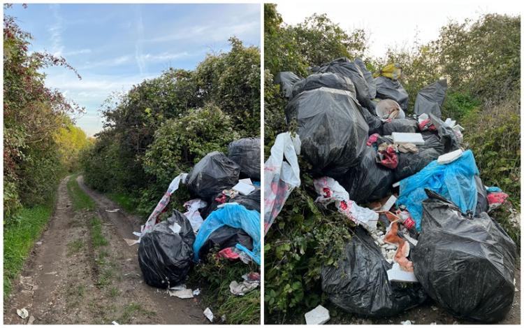 Munte de gunoi în cartierul Dâmbu Rotund făcut de ”bipezi” nesimțiti ...