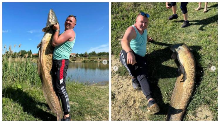 Record! A prins cel mai mare somn din vestul României. Reușita unui pescar este legendară - FOTO ...