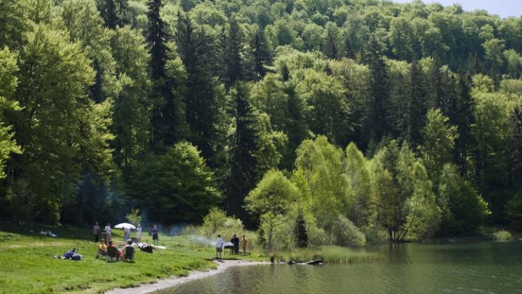 Aici se află cea mai pură apă din România! Lacul din Ardeal a cărui ...