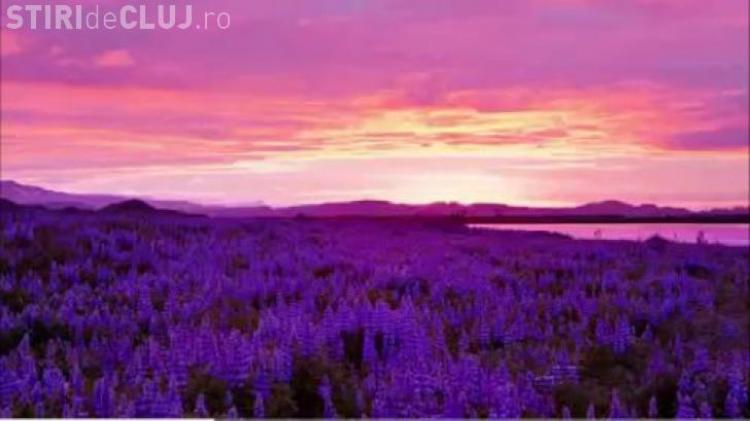 Spectaculos: Locul in care soarele nu apune niciodata VIDEO - Ştiri de Cluj