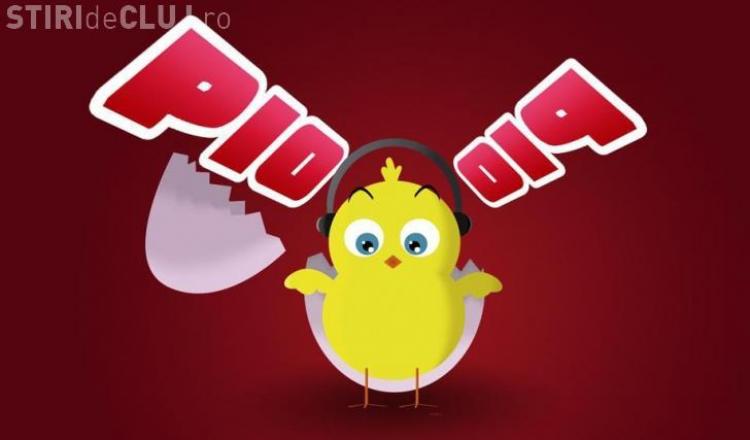 Puiul Piu, hit -ul care înlocuiește Gangnam Style - VIDEO - Ştiri de Cluj
